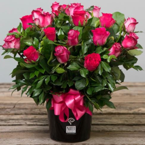 Nati Roses International Pty Ltd - Wholesale Florist 790 Old Northern ...