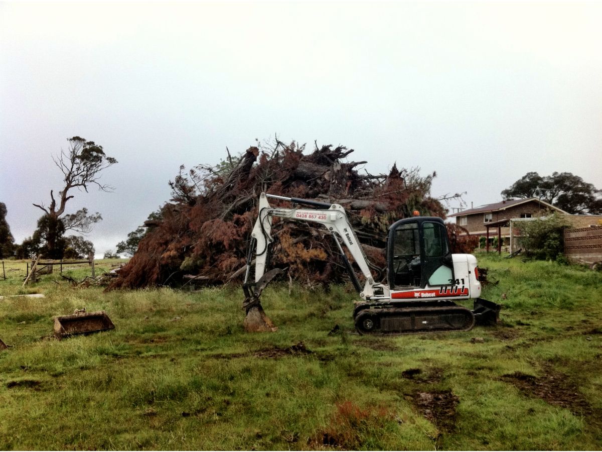 Big-Land Excavations & Tree Services - Excavation & Earthmoving ...