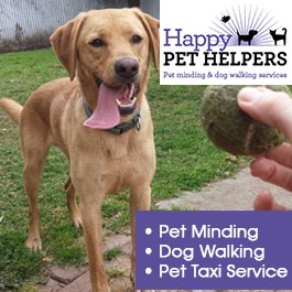 Happy Pet Helpers - Pet Care - Hillcrest