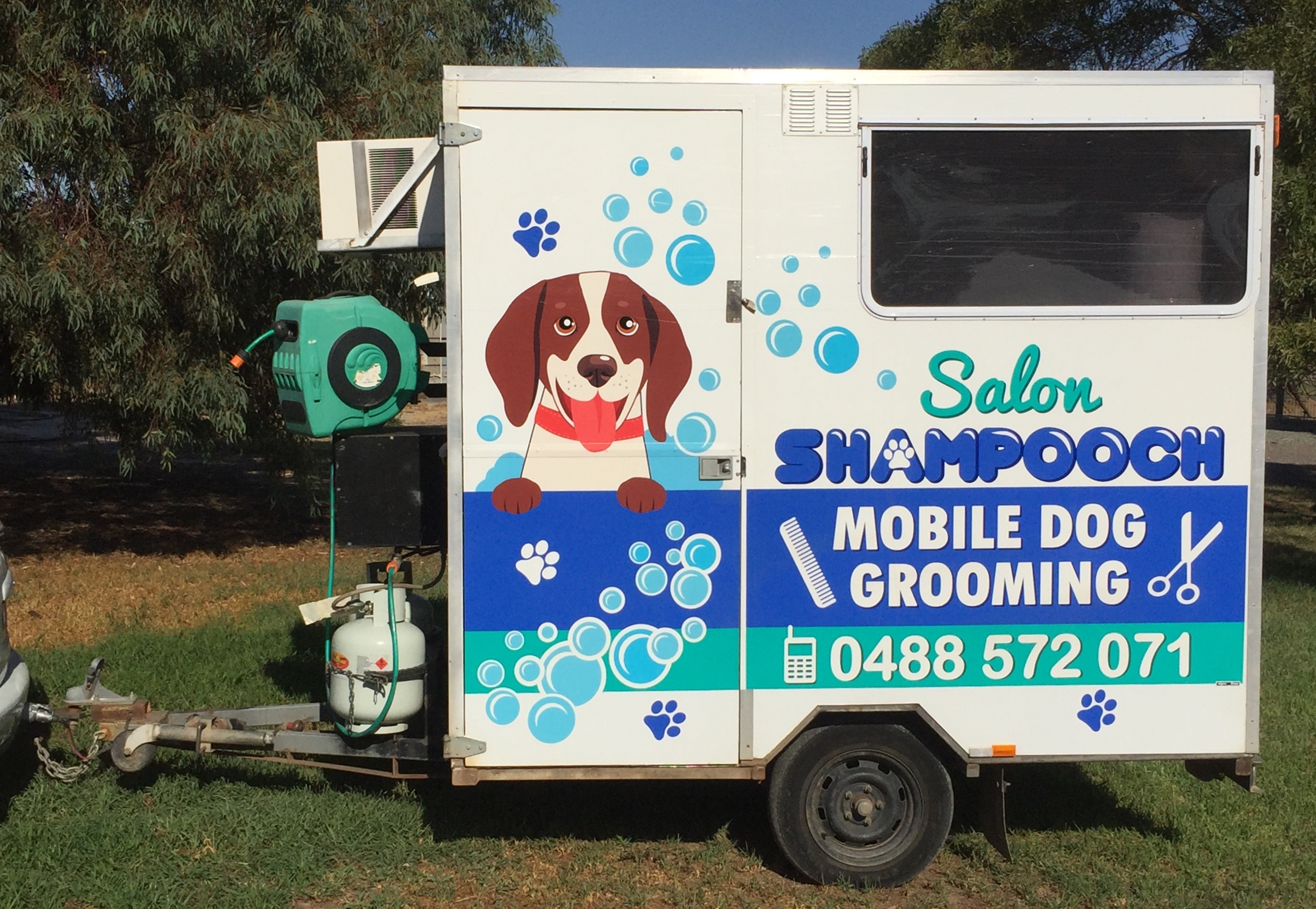 Salon Shampooch - Dog & Cat Clipping & Grooming - Tallygaroopna