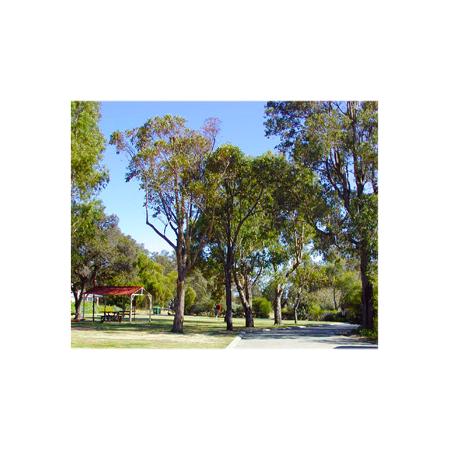 Banksia Tourist Park - Caravan Parks Hazelmere | Yellow Pages®
