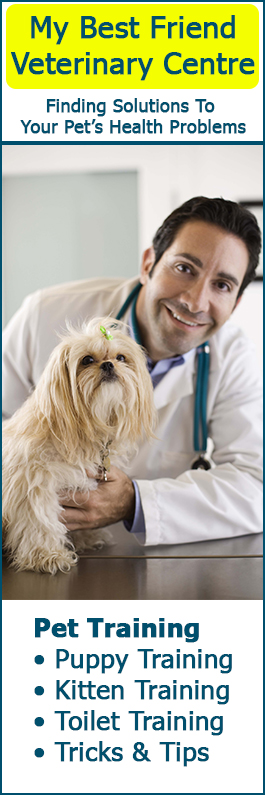 My Best Friend Veterinary Centre - Vet Leederville | Yellow Pages®