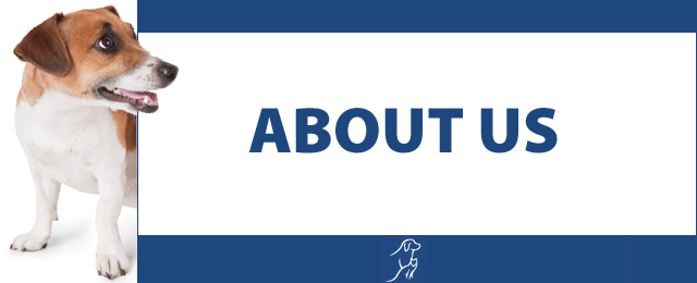 Colonel Light Veterinary Clinic - Vet 59 Springbank Rd, Colonel Light ...