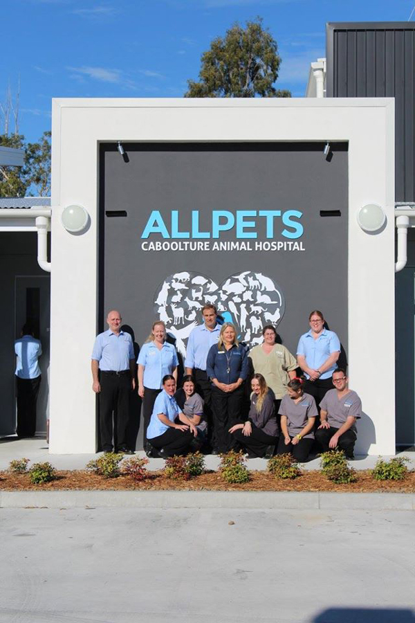 Allpets Caboolture Animal Hospital - Vet Caboolture | Yellow Pages®