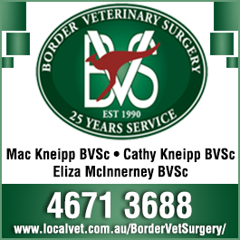 Border Veterinary Surgery Goondiwindi - Vet 26 Herbert St, Goondiwindi ...