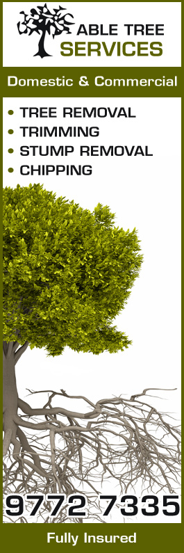 Able Tree Services Pty Ltd - Tree & Stump Removal Services - 70 ...