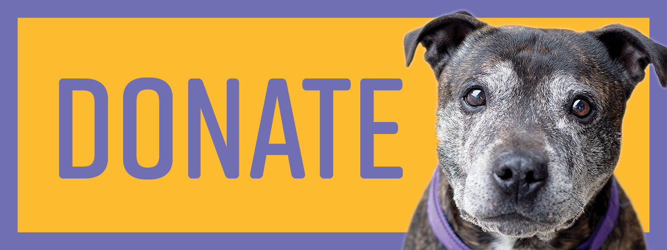 AWLQ Community Vet Clinic - Vet Shelter Rd, Coombabah QLD 4216 | Yellow ...