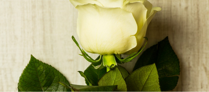 Fulham Funerals Adelaide - Funeral Directors Adelaide | True Local