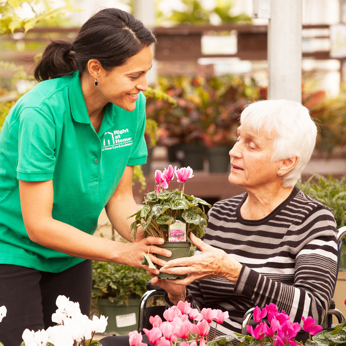 Nanny For Seniors - Aged Care Services & Homes 5 Orford Pl, Wagga Wagga ...