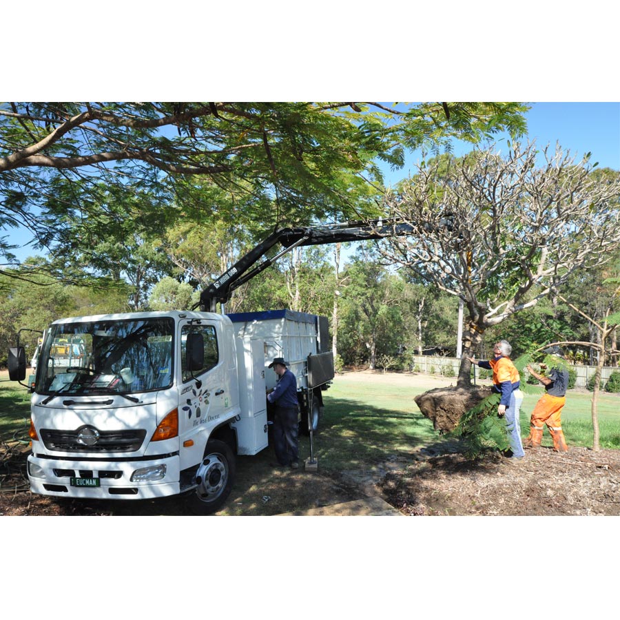 The Tree Doctor - Tree Surgery - 8 Goodenia St - Everton Hills