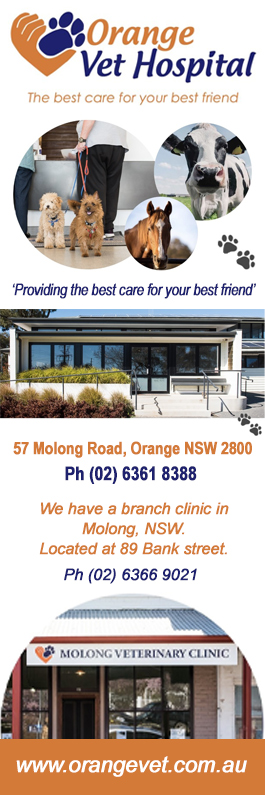 Orange Veterinary Hospital - Vet 57 Molong Rd, Orange NSW 2800 | Yellow ...
