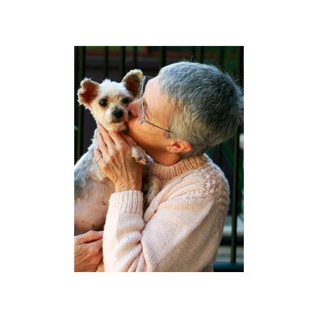 AWLQ Animal Rehoming Centre - Animal Welfare 21 Shelter Rd, Coombabah ...