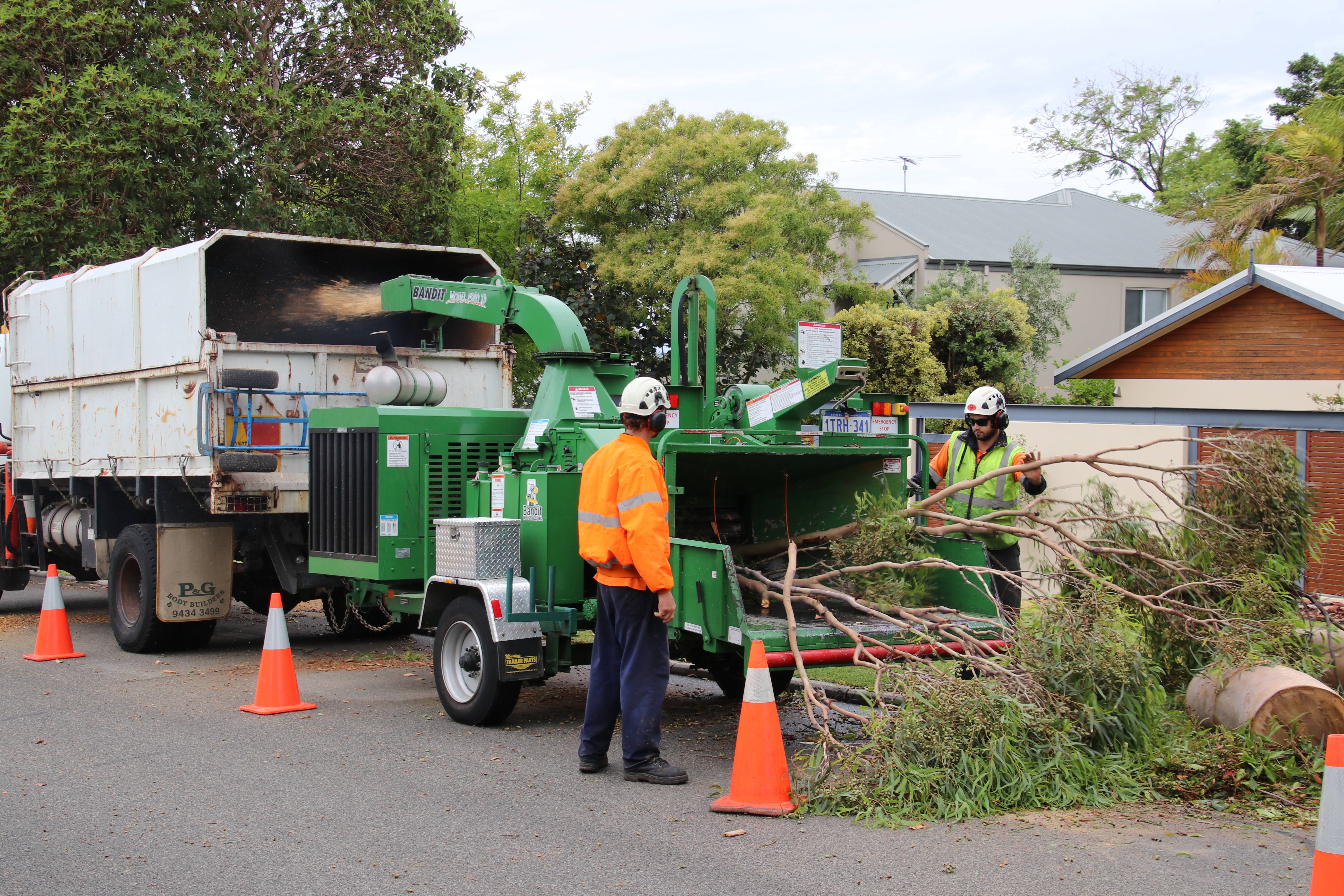 Tree Amigos Tree Surgeons Pty Ltd - Tree & Stump Removal Services - 7 ...