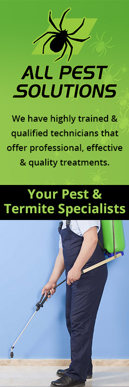 All Pest Solutions - Pest Control Ballina | Yellow Pages®