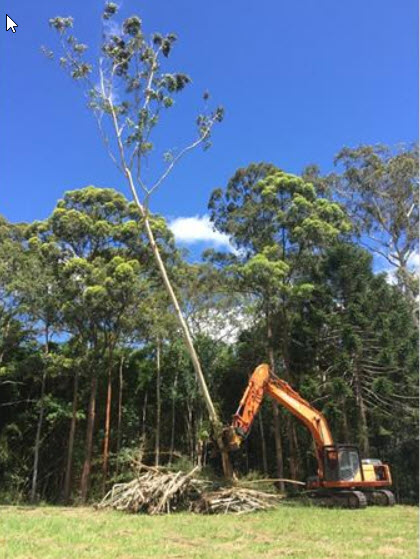 All Tree Works - Tree & Stump Removal Services - Mapleton