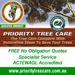 Priority Tree Care - Tree & Stump Removal Services Belconnen | Yellow ...