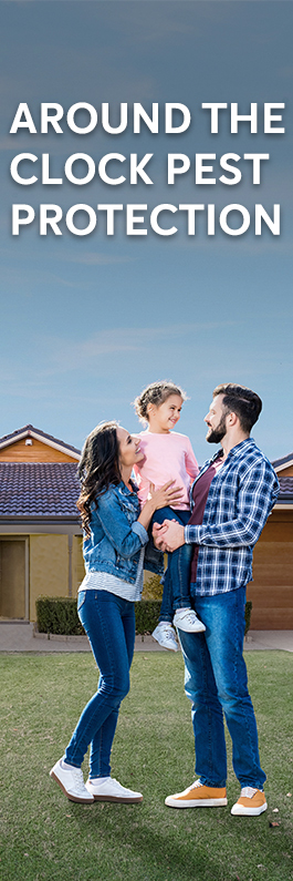 Flick Pest Control - Pest Control North Melbourne | Yellow Pages®