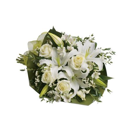 Merimbula Rainforest Nursery & Florist - Florists 402 Sapphire Dr, Tura ...