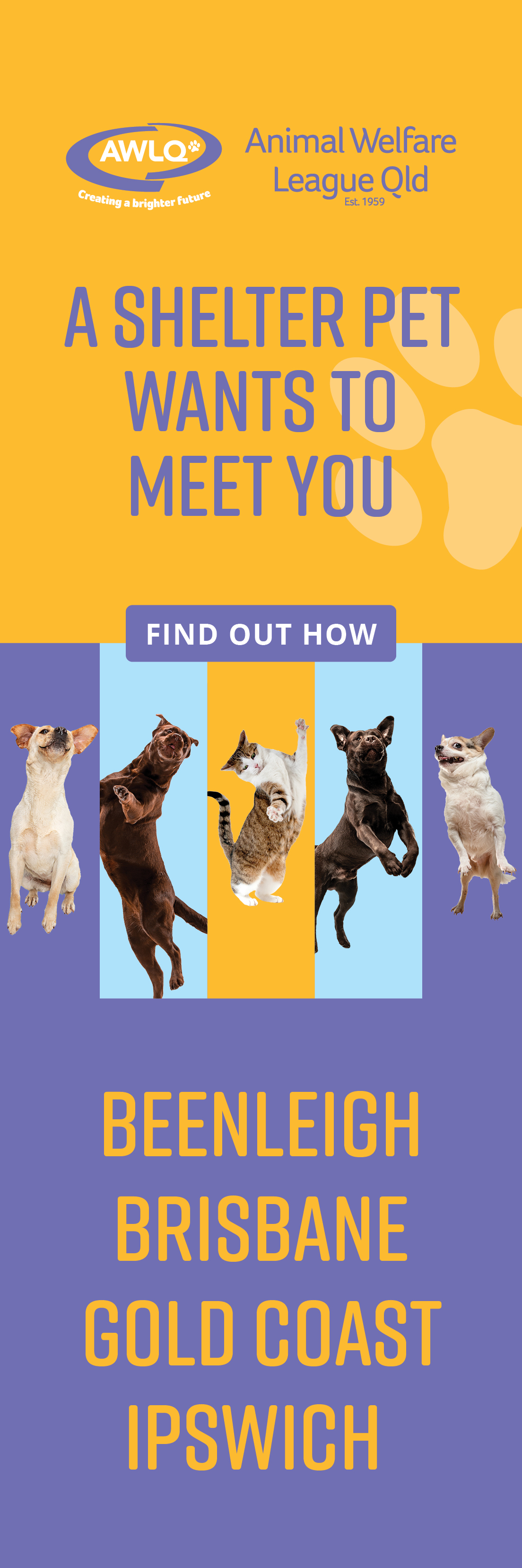 AWLQ Animal Rehoming Centre - Animal Welfare 6 Hooper St, West Ipswich ...