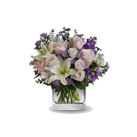 Merimbula Rainforest Nursery & Florist - Florists 402 Sapphire Dr, Tura ...