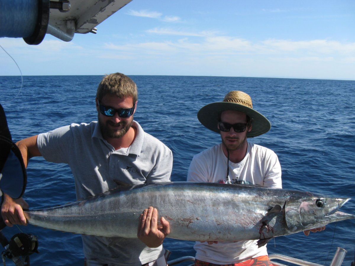 Top Catch Charters - Fishing Trips 125 Parkyn Parade, Mooloolaba QLD ...