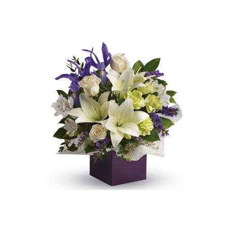 Merimbula Rainforest Nursery & Florist - Florists 402 Sapphire Dr, Tura ...