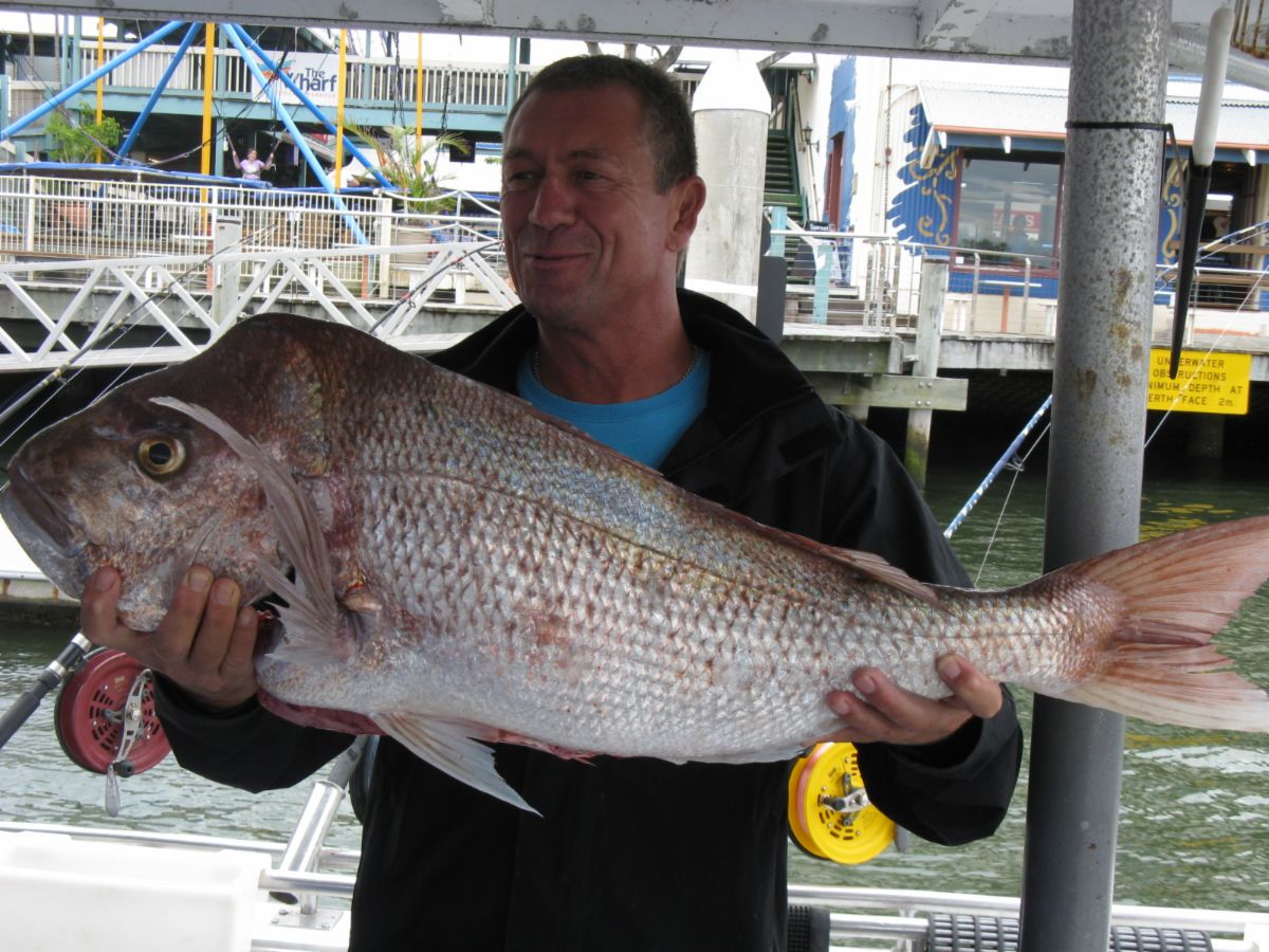 Top Catch Charters - Fishing Trips 125 Parkyn Parade, Mooloolaba QLD ...