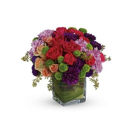 Merimbula Rainforest Nursery & Florist - Florists 402 Sapphire Dr, Tura ...