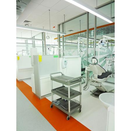 JCU Dental - Dentist Jcu Dental, James Cook University, McGregor Rd ...