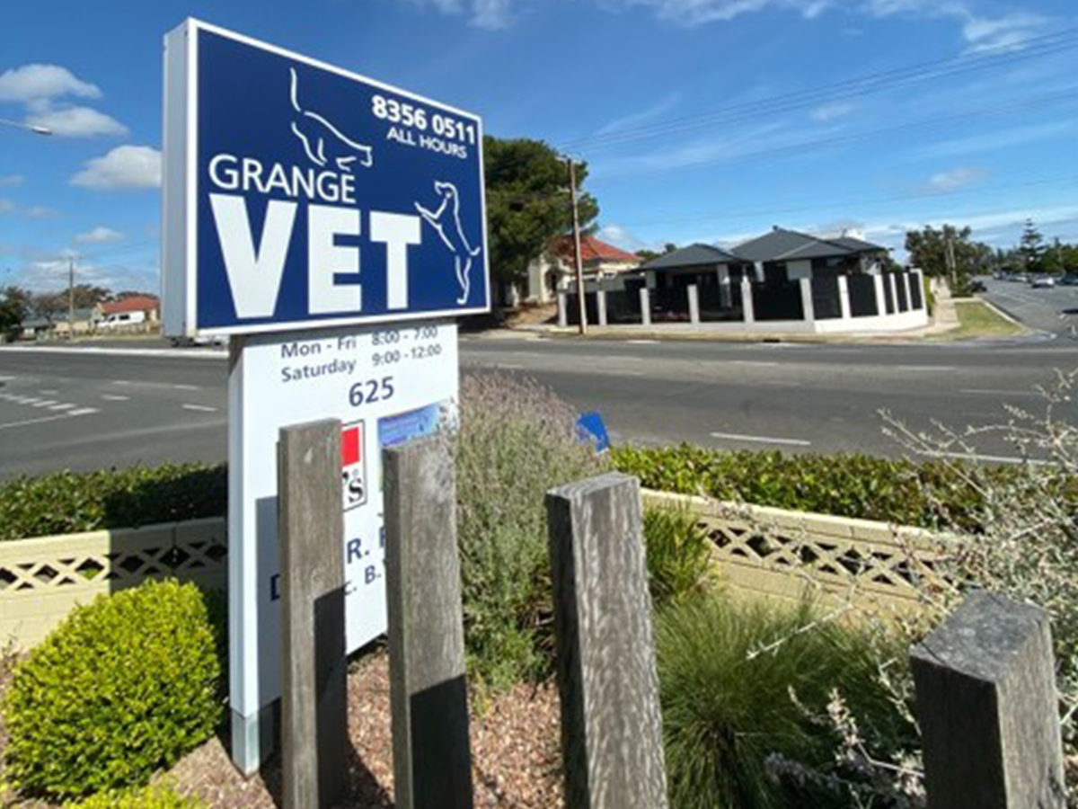 Grange Veterinary Clinic - Vet Fulham Gardens | Yellow Pages®