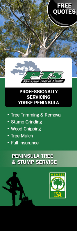 Peninsula Tree & Stump Service - Tree & Stump Removal Services Main St ...