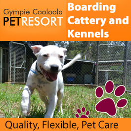 Gympie Cooloola Pet Resort - Dog Boarding Kennels 37 Woondum Rd, Kybong ...